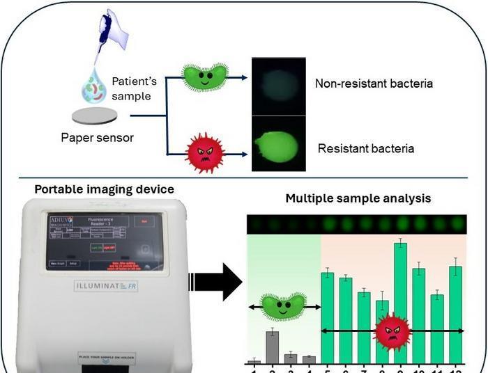 Paper-based platform offers rapid detection of antibiotic-resistant ...