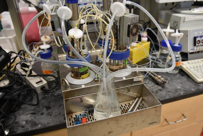 Ready for market: Yeast process boosts clean, cost-efficient chemical ...