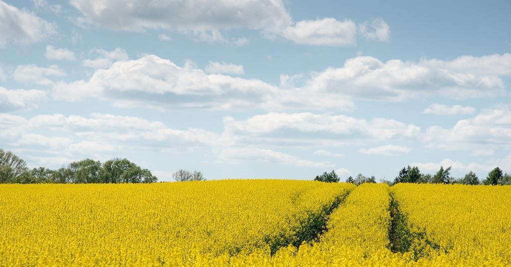 TeselaGen Biotechnology renews partnership with Joint BioEnergy ...