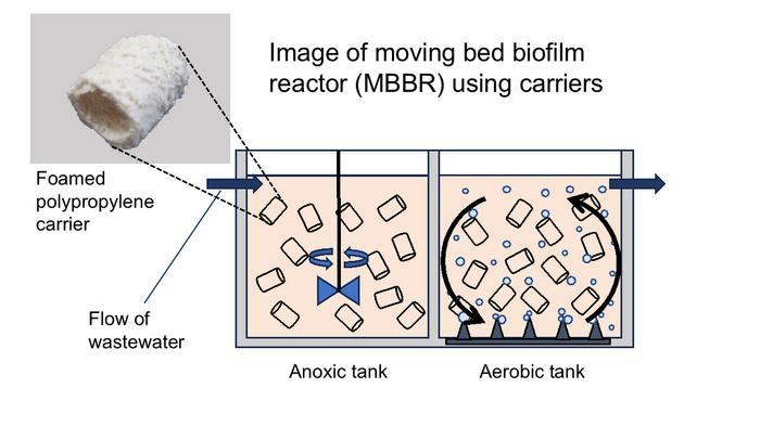 Technique boosts biofilm growth for efficient wastewater treatment ...