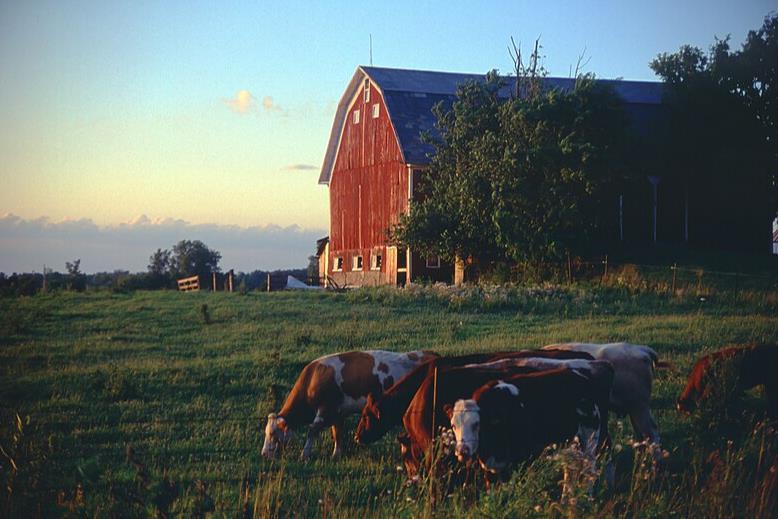 H5 influenza vaccines: what needs to be done to reduce the risk of a ...