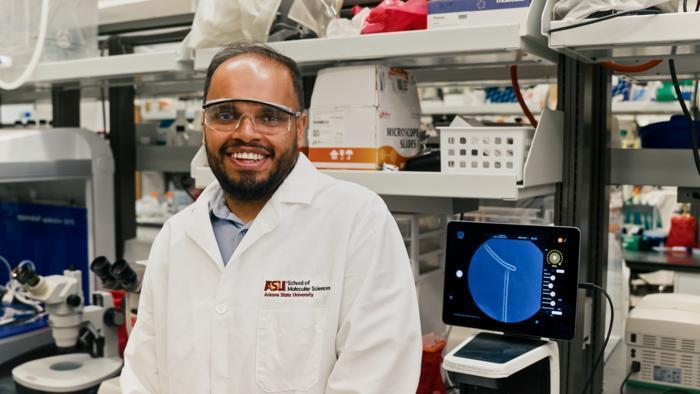 When bacteria get hungry, they kill – and eat – their neighbors | News ...