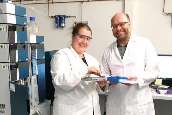 Full-bodied cheese flavor–prediction of flavor development soon ...