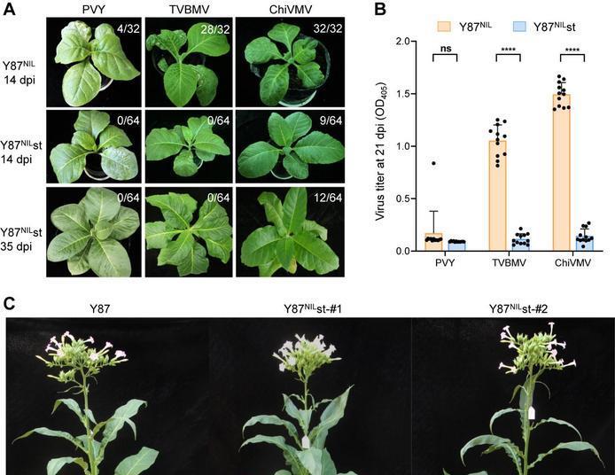 Simultaneous knockout of multiple eukaryotic translation initiation ...