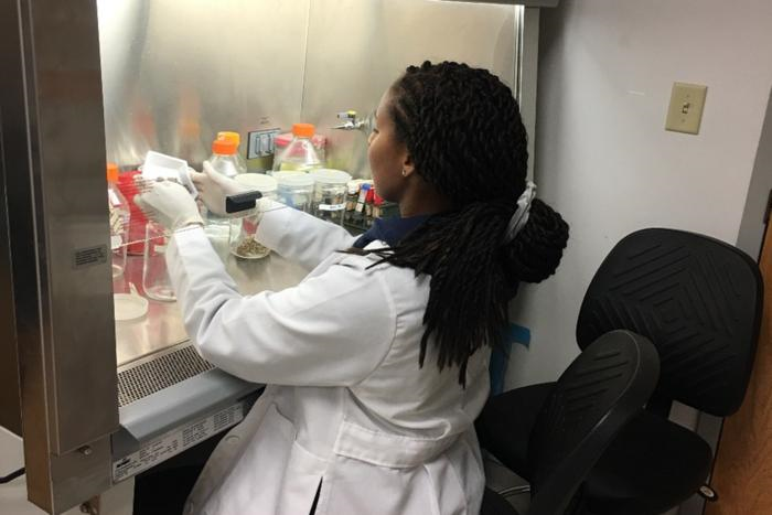 FAU to create South Florida’s first microbiome innovation center | News ...