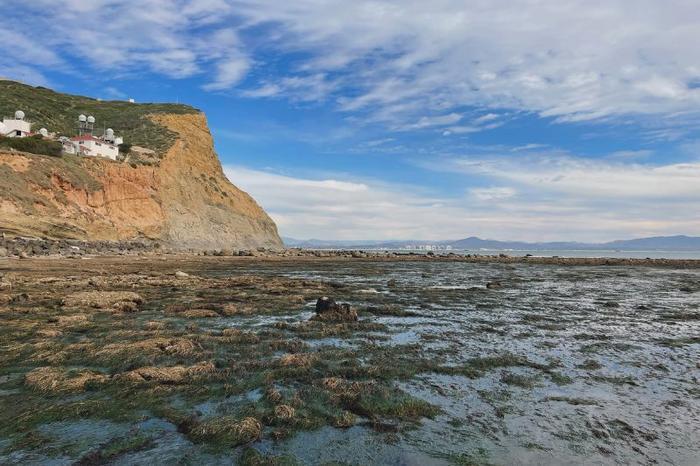 Researcher helps develop new technique to explore oceanic microbes ...