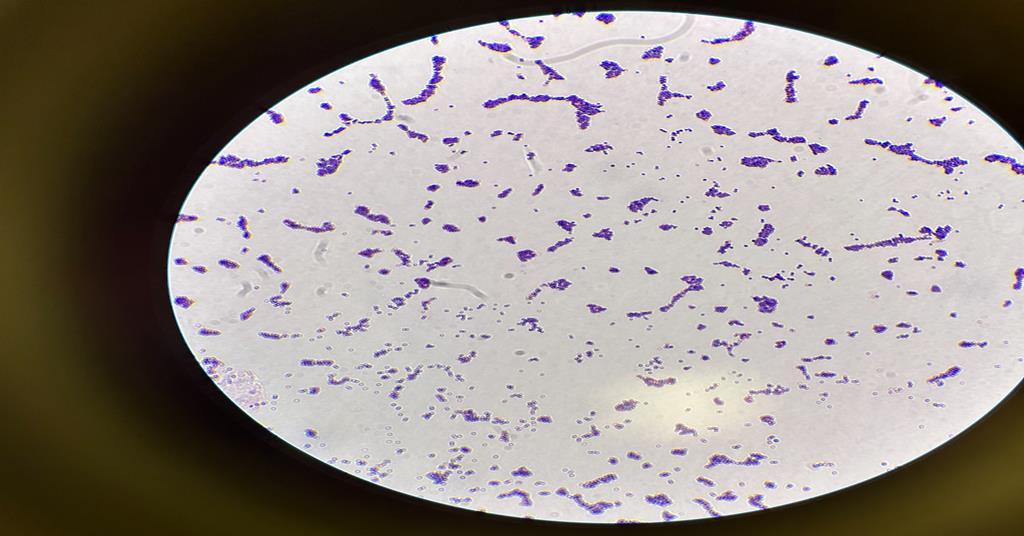 Scientists reveal search for faster way to diagnose MRSA and its ...