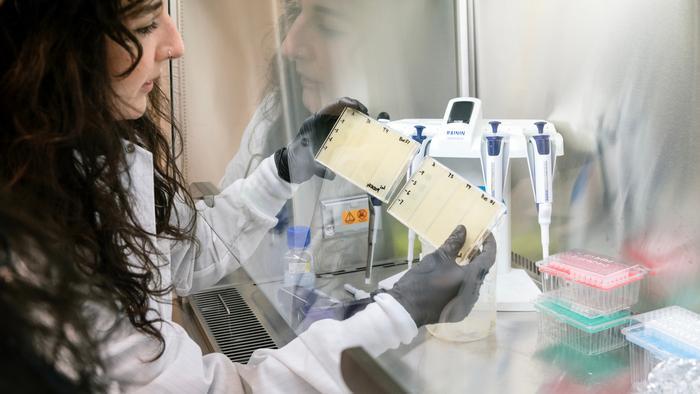 New phage editing technology could lead to alternative treatments for ...