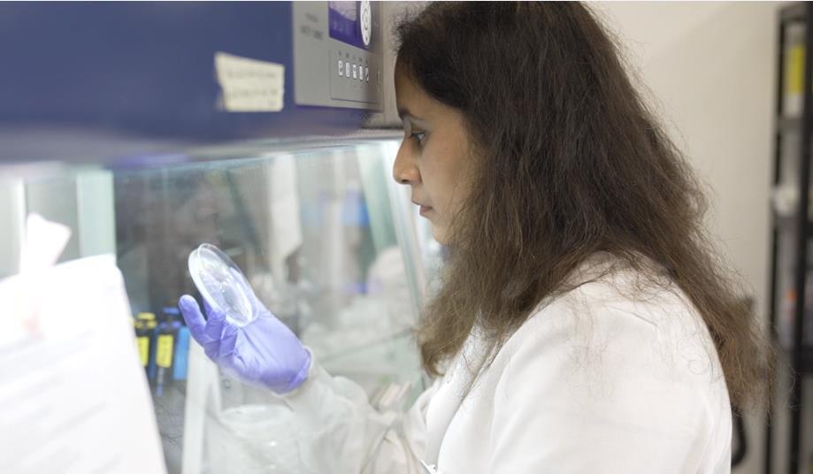 A day in the life of a microbiology technician | Careers | The ...