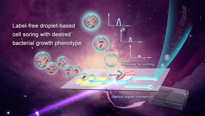 Label-free Droplet-based methods improve rapid screening and sorting of ...