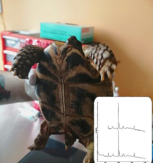 Novel bacteria identification methods might help speed up disease ...