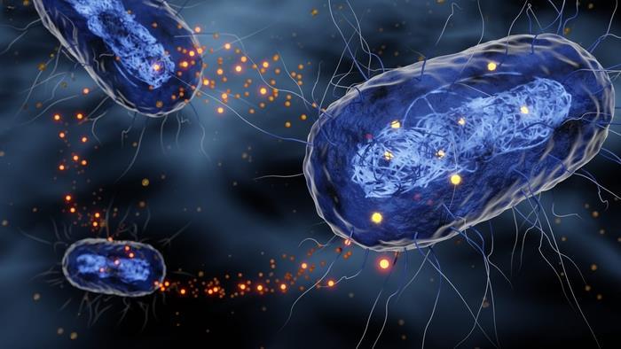 New treatment for multidrug-resistant bacteria blocks toxins involved ...