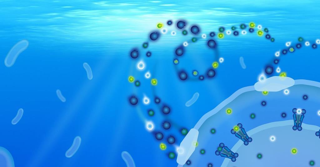 Scientists unveil how the oceans’ most abundant bacteria impact global ...