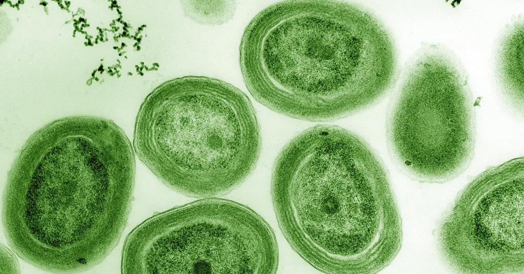Scientists discover a new way of sharing genetic information in a ...