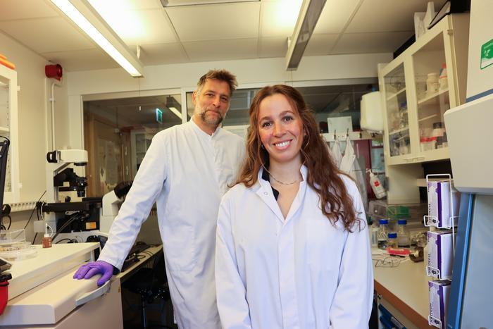 New sepsis diagnostic could reduce critical time to save patients ...