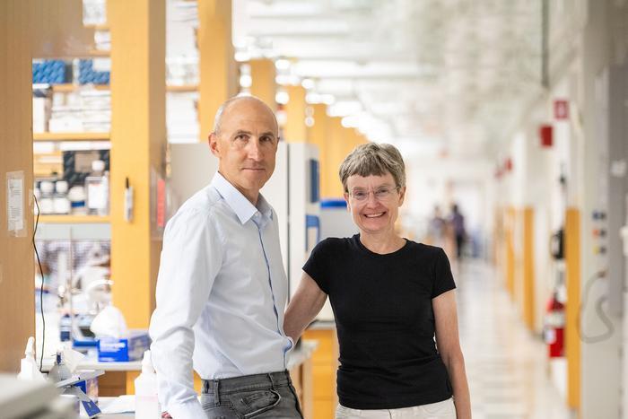 Molecular biologists identify framework for understanding RNA editing ...