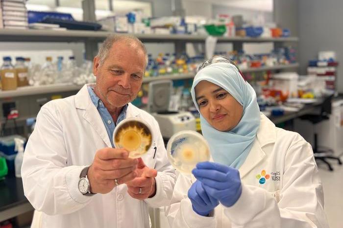 Scientists target seed microbes to improve seed resilience | News | The Microbiologist