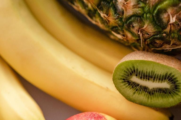 Immune systems develop ‘silver bullet’ defences against common bacteria ...