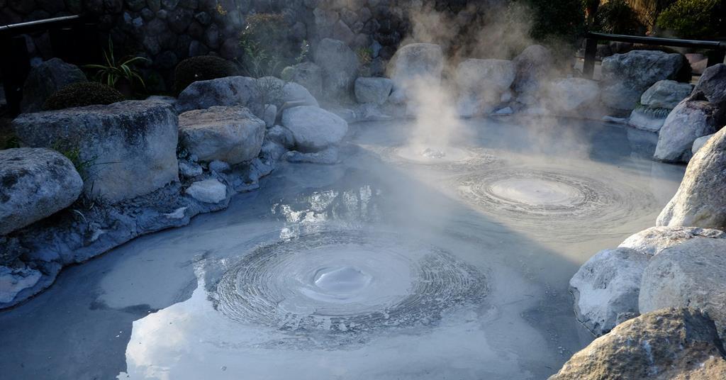 Hot spring microbe delivers nitrite-driven anaerobic ethane oxidation ...