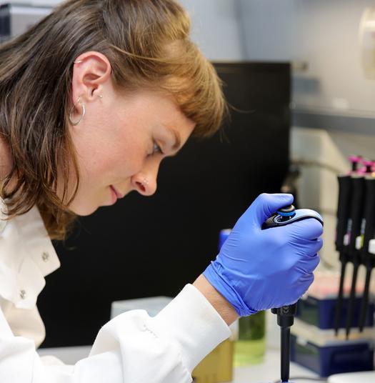 Scientists repurpose gene editing tool to help uncover hidden microbial ...