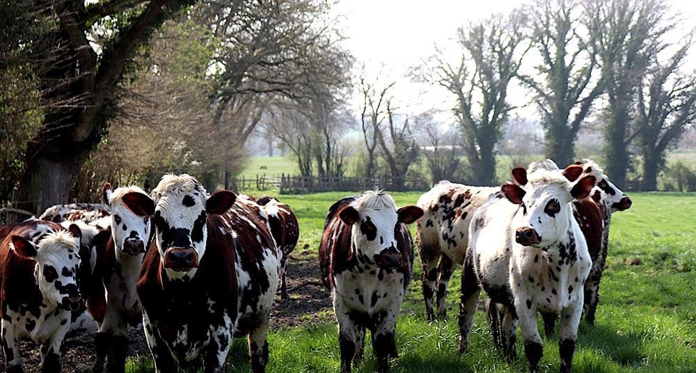 Report recommends ‘highly ambitious enterprise’ to create world-leading ...