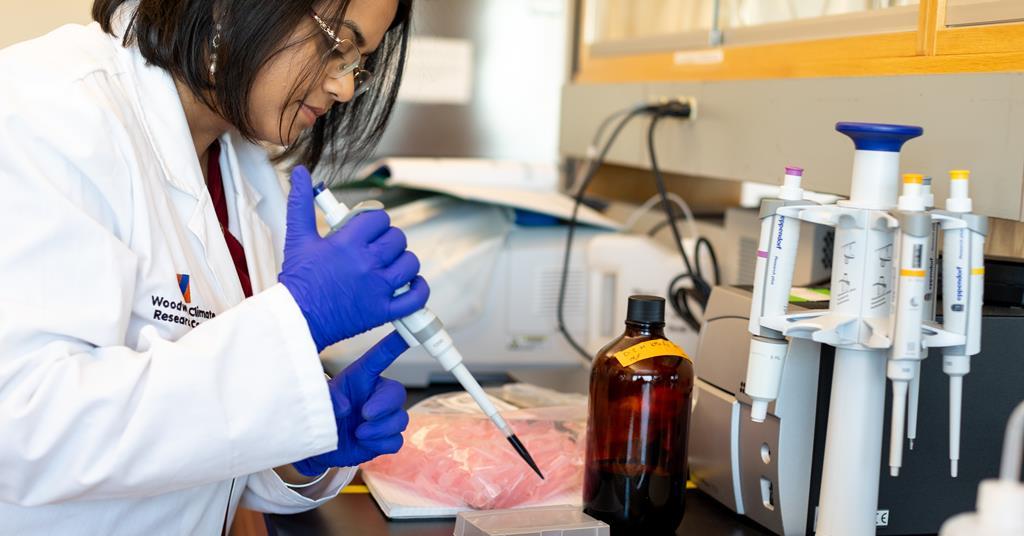 A day in the life of a soil microbial ecologist | Careers | The ...