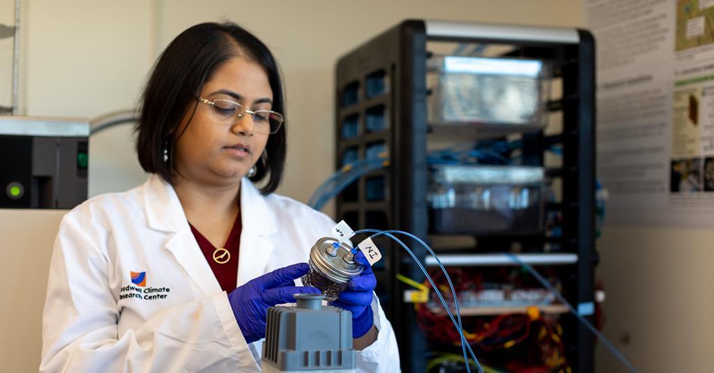 A day in the life of a soil microbial ecologist | Careers | The ...