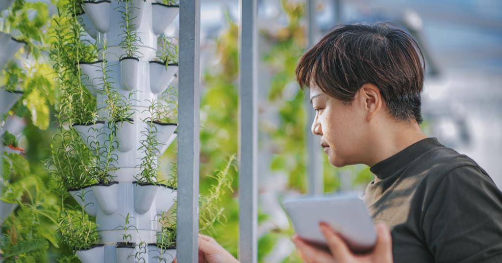 Looking to the future: vertical farms & food safety | Features | The ...