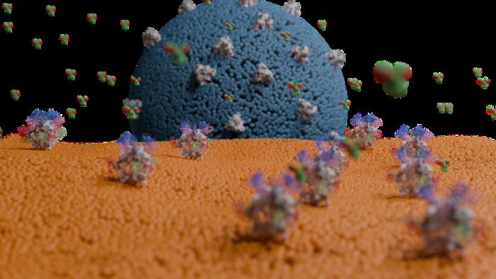 Vanderbilt Center for Antibody Therapeutics signs agreement to develop ...