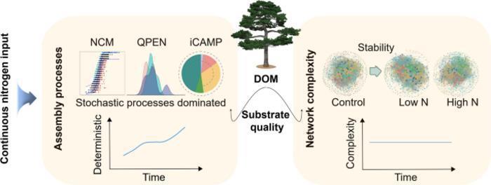 Nitrogen addition reshapes forest microbes: A five-year insight into ...