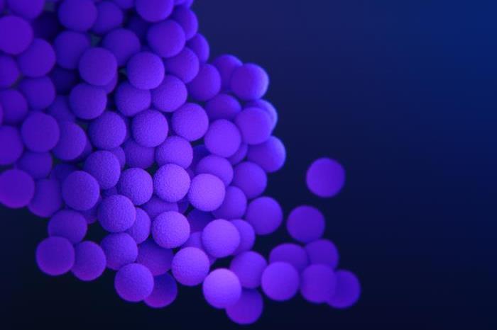 Probiotic markedly reduces staph colonization in phase 2 trial | The ...