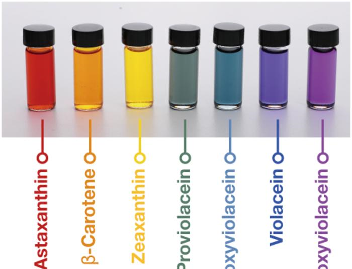 Microbial cell factories can produce eco-friendly food and cosmetic ...