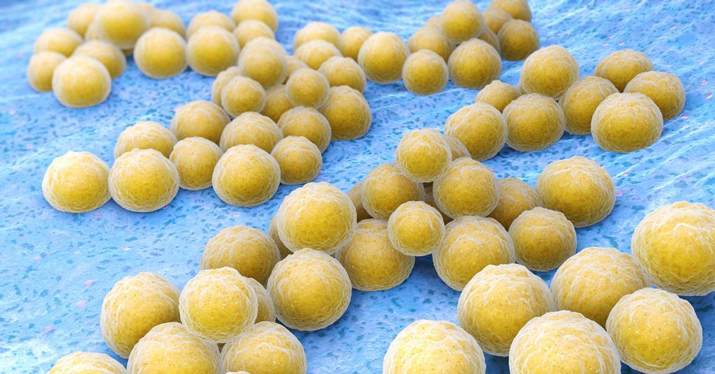 Under the microscope: the ESKAPE pathogens | Features | The Microbiologist