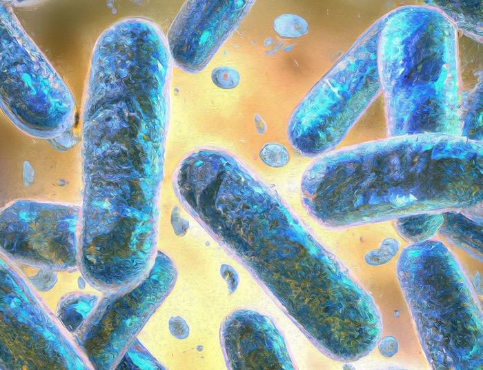 Semi-living cyborg cells could be tools for health and environment ...