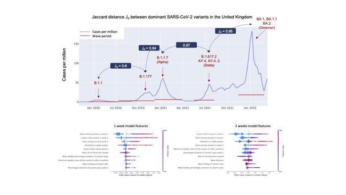 AI model predicts which SARS-CoV-2 variants could cause new waves of ...
