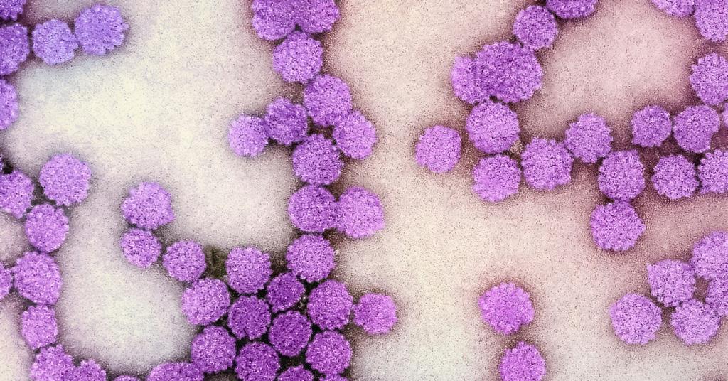 Women With High Risk Hpv And Metabolic Syndrome Have Almost Three Times 5947