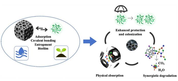 New biochar-powered microbial systems offer sustainable solution for ...