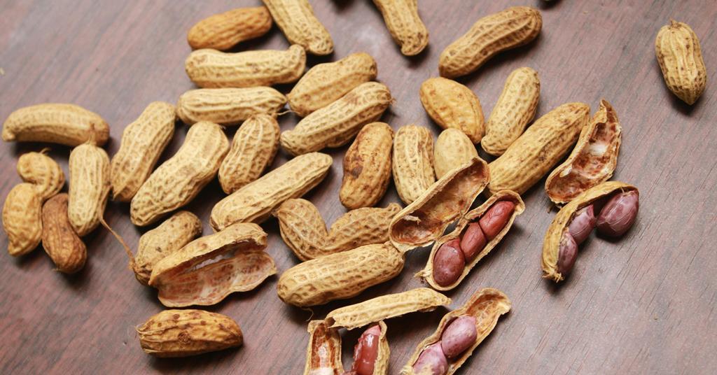 Peanut shell biochar composite shows promise for removing antibiotic ...