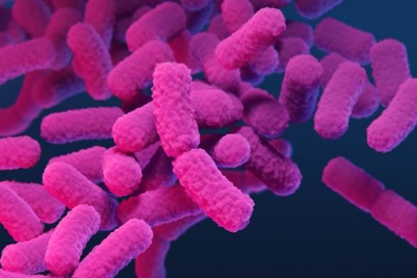 Researchers develop targeted test for antibiotic resistance in clinical ...