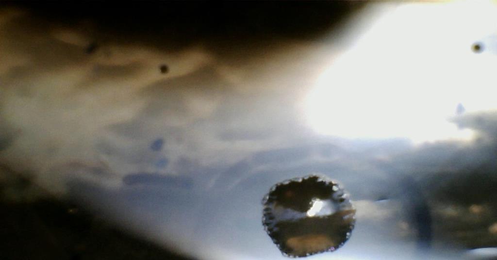 Researchers see breakthrough in efficient biofuel production | News | The Microbiologist