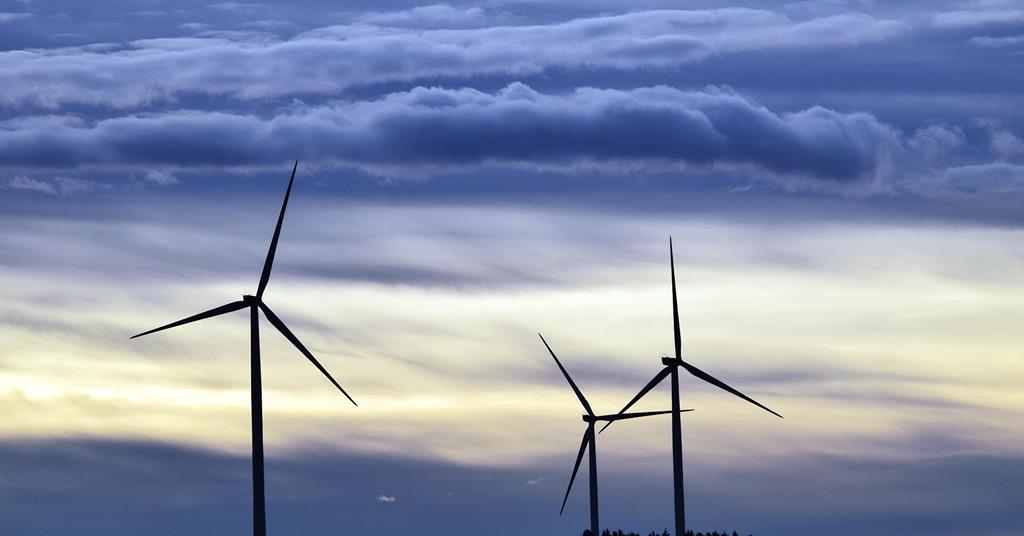 From lab to grid: how living batteries could transform the energy ...