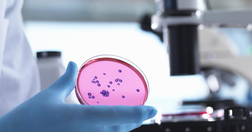 How the PATH-SAFE programme has driven forward our understanding of AMR ...