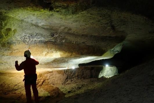 Chemical-loving bacteria were source of sulphuric acid that carved out ...