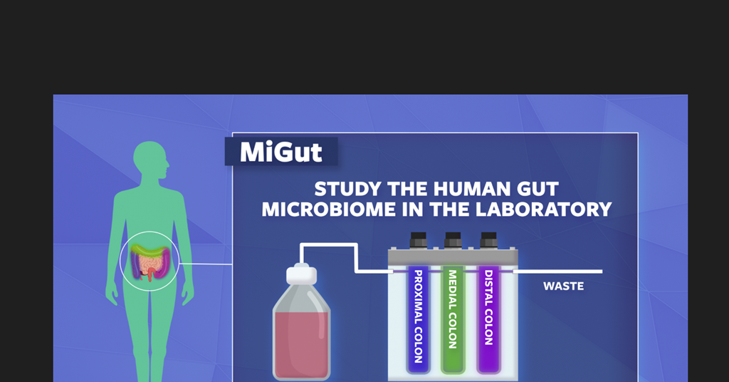 Benchtop model lays bare secrets of gut microbiome | The Microbiologist