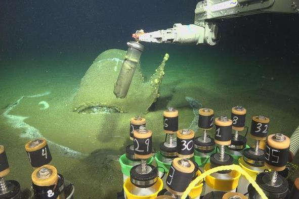 Alkali waste dumped in the Pacific Ocean created alkalophilic microbial ...