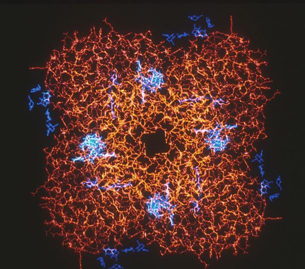 Persistent proteins may influence metabolomics results | News | The ...