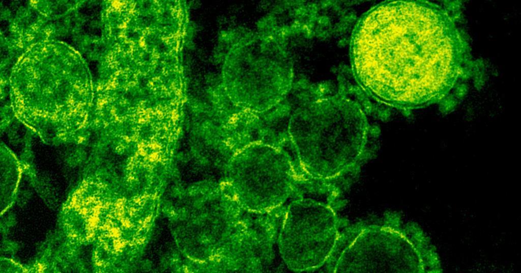 Global Virus Network welcomes new centers of excellence across the ...