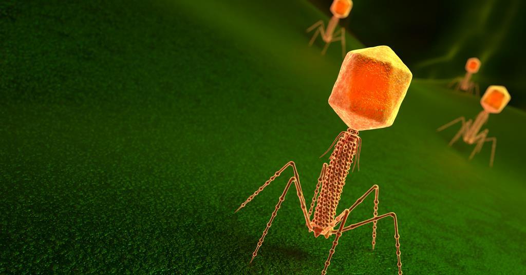 Unlocking the secrets of phages: DNA modification discoveries offer new ...