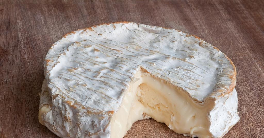 Microbiological concerns faced in cheese-making environments | Features ...