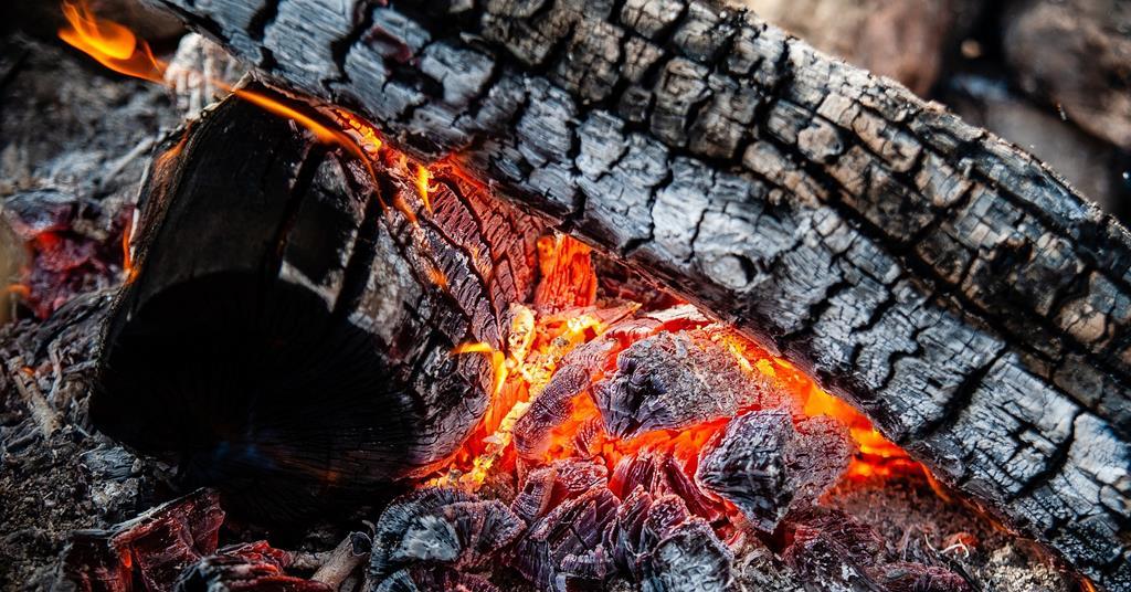 Playing with fire: how wildfire shapes the soil microbiome of the ...